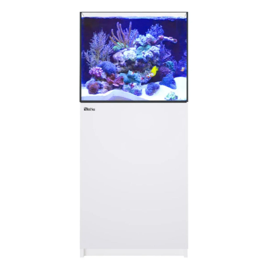 Red Sea REEFER 200 G3 Dubai | Free UAE Delivery & Setup – PetStore.ae