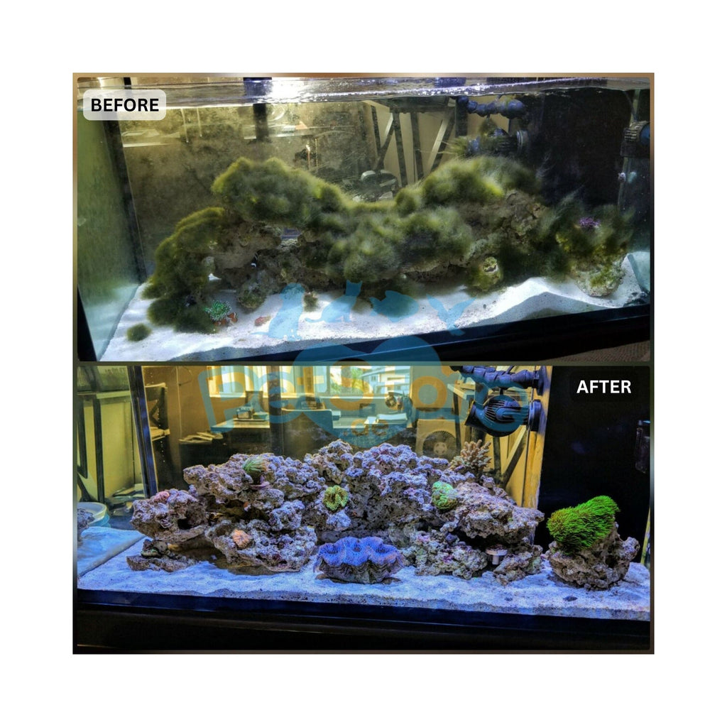 reef-hd-additives-supplements-aquarium-water-treatments-reef-hd-reef ...