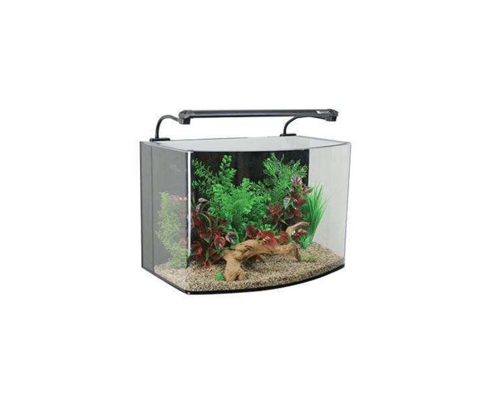 aqua-one-aquatics-aquanano-60-bow-front-aquarium-cabinet-aqua-one ...