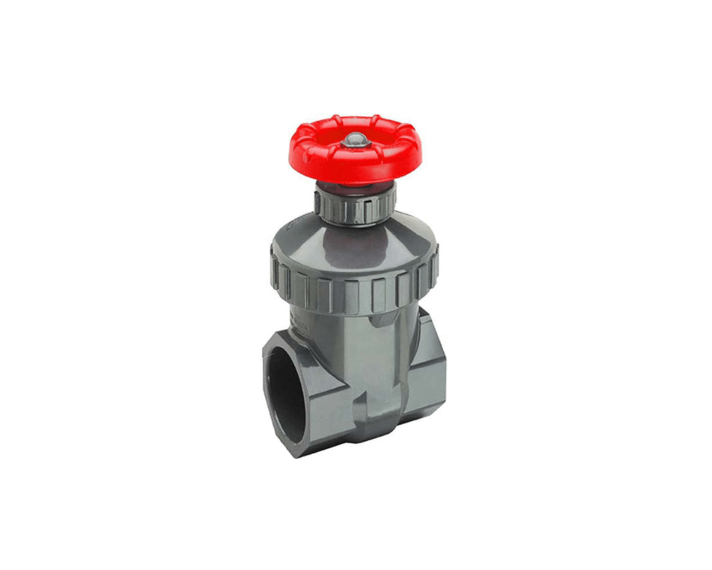 Gate Valve - FPT X FPT - Lifeguard Aquatics – PetStore.ae