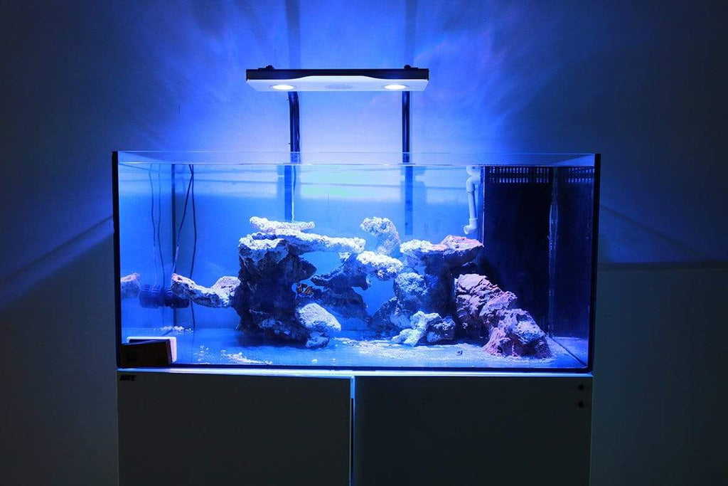 lumini-aqua-system-aquatics-pixie-200-led-aquarium-light-lumini-aqua ...