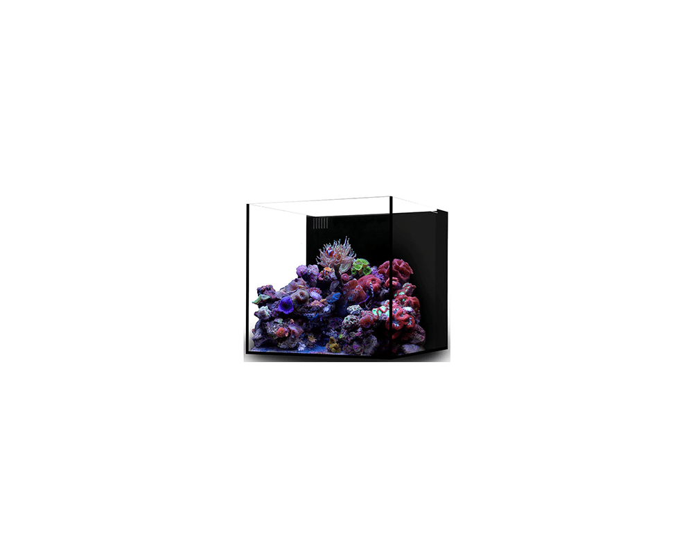 WaterBox Cube 10 Glass Aquarium | Rimless All-In-One 41L Nano Tank ...